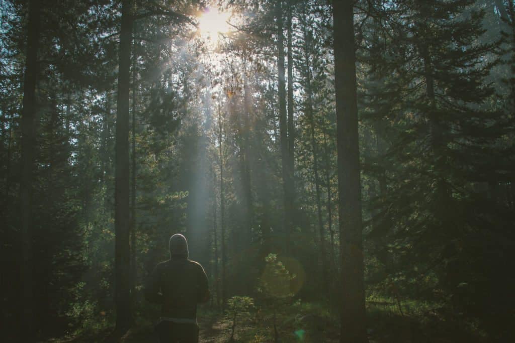 How Different Personality Types Use Intuition (Ne or Ni) - Psychology ...