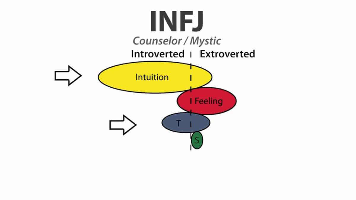 Você é um INFJ ou um INFP? Como Descobrir! | Wzrost