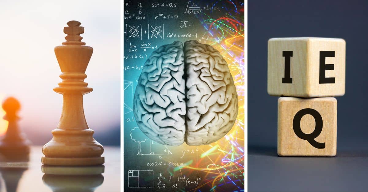 Your Myers-Briggs® Personality Type and Your Brain - Psychology Junkie