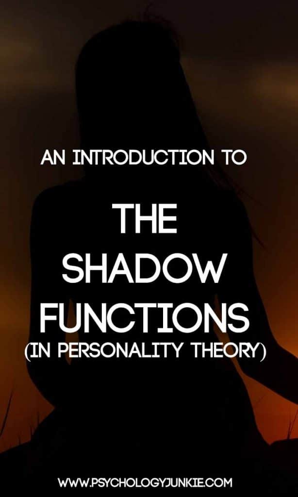 An Introduction to the Shadow Functions - Psychology Junkie