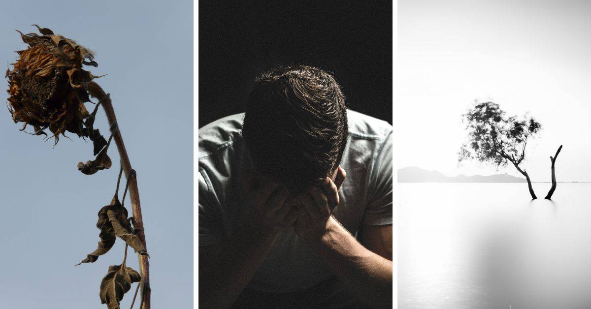 Here's The Flower You'd Be, Based On Your Myers-Briggs® Personality ...