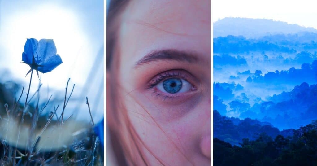 The INTJ and the 5 Love Languages - Psychology Junkie