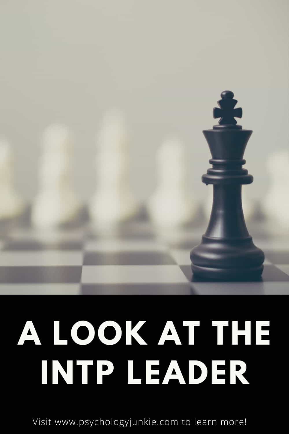 A Look At The INTP Leader - Psychology Junkie