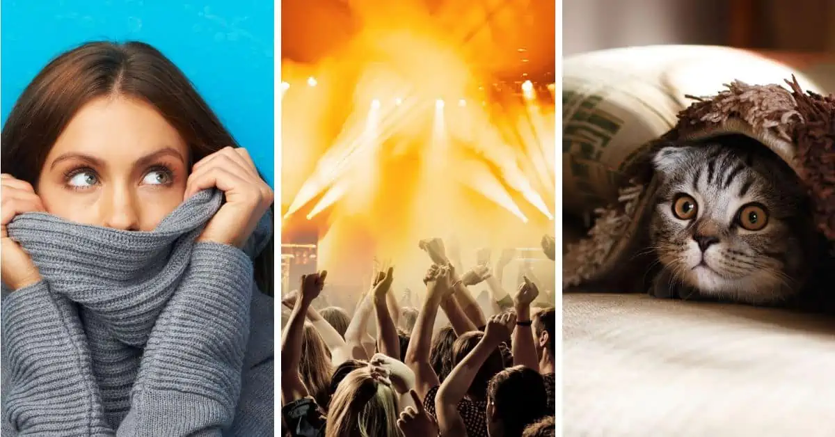 10 Things That Excite The Infj Personality Type Psychology Junkie