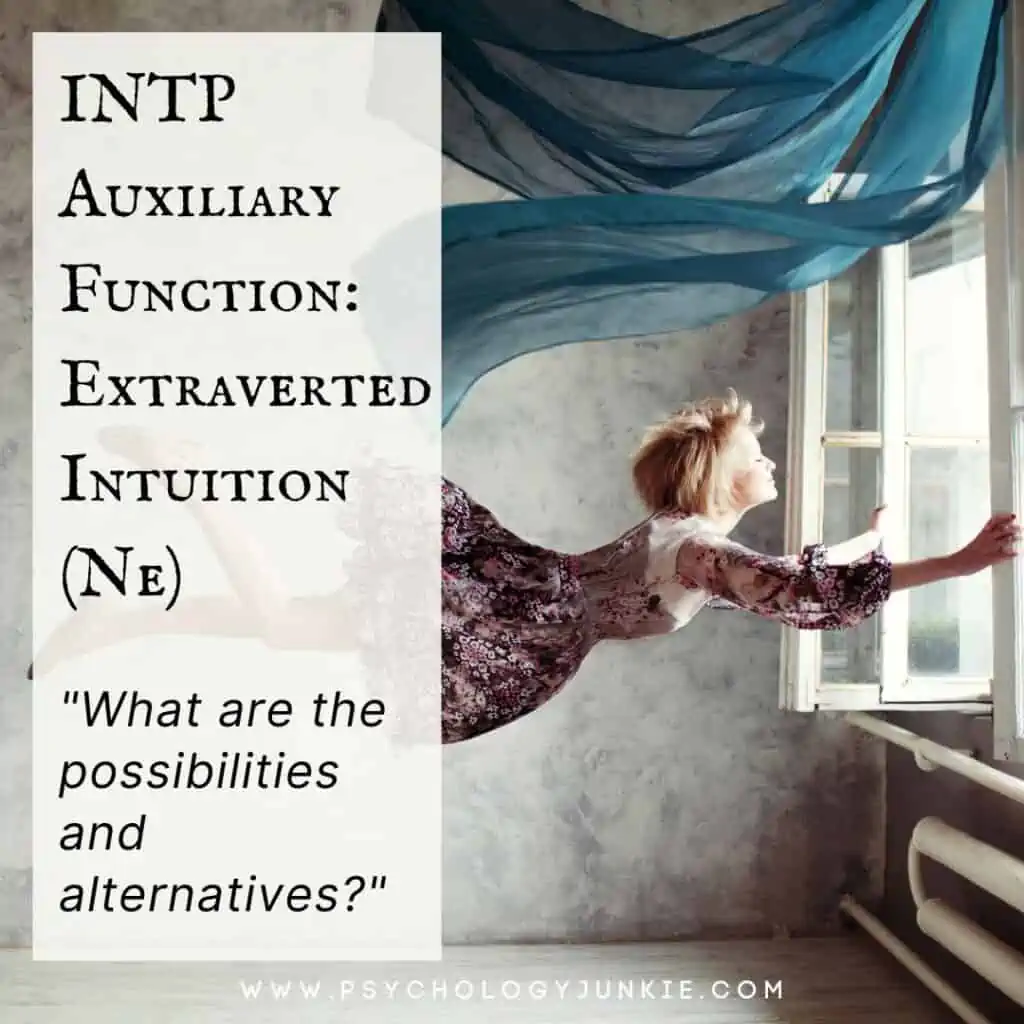 The INTP Cognitive Function Stack - Psychology Junkie The INTP Cognitive Function Stack - Psychology Junkie