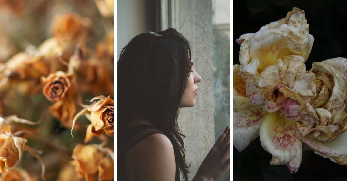 24 Signs That You're an ISFJ, the "Protector" Personality Type ...