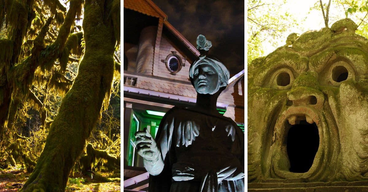 The ENFP Ne-Te Loop - What it Is and How to Cope - Psychology Junkie