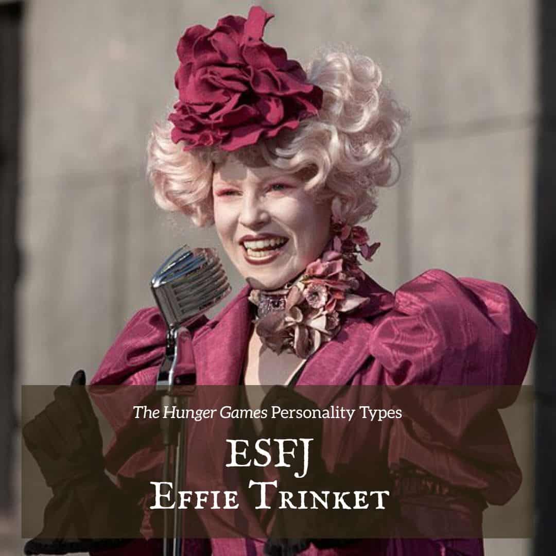 The Myers-Briggs® Personality Types of the Hunger Games Characters ...