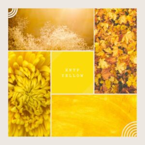 Here's the Color That Best Represents Your Myers-Briggs® Personality ...