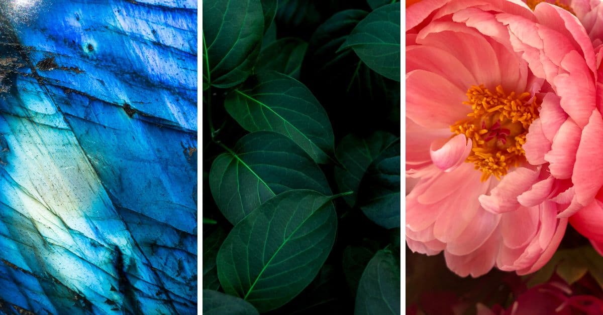 Here's the Color That Best Represents Your Myers-Briggs® Personality ...