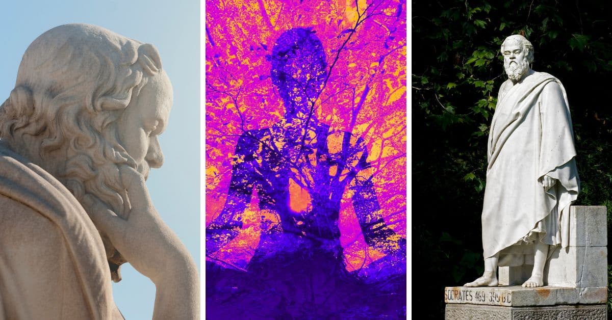 Here's the Mythical Creature You'd Be, Based On Your Myers-Briggs ...