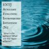 The ENTJ Cognitive Functions: An In-Depth Guide - Psychology Junkie