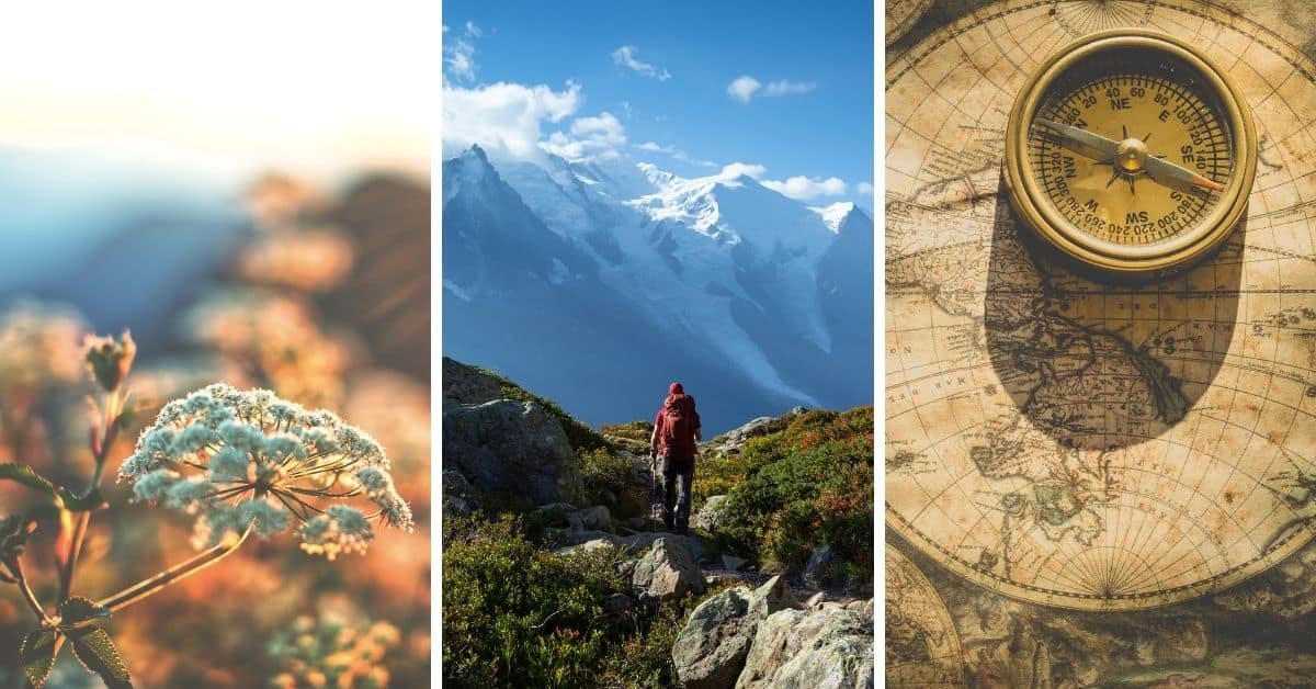 When INFJs Get Angry - A Look at INFJ Rage - Psychology Junkie