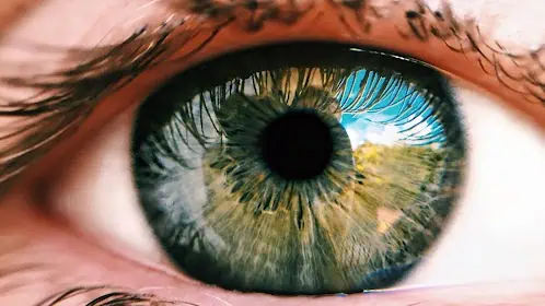 Personality Tests - Psychology Junkie