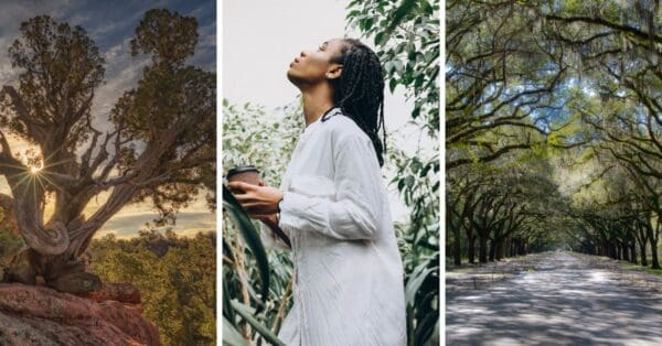 What Maturity Looks Like for Every Myers-Briggs® Personality Type ...